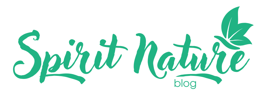 Магній – ключовий елемент природи та життя - Spirit Nature 🌿 Блог